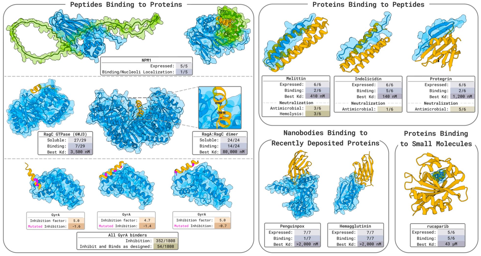 MIT开源BoltzGen：AI设计蛋白质药物，向"不可成药"靶点宣战 - Suppr | 超能文献