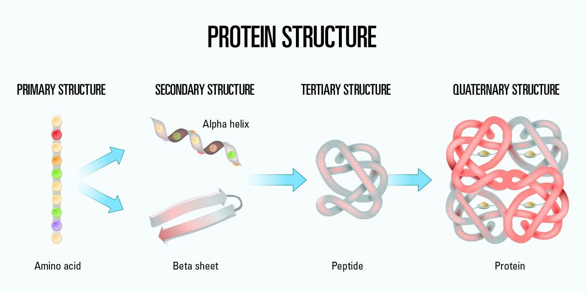 MIT开源BoltzGen：AI设计蛋白质药物，向"不可成药"靶点宣战 - Suppr | 超能文献